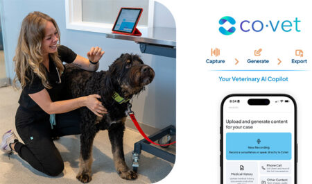 CoVet | Pet Care Innovation